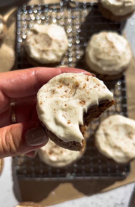 Frosted Gingerbread Cookies | Life Made Sweeter