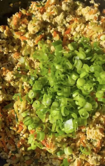 Rice Paper Dumplings | Life Made Sweeter