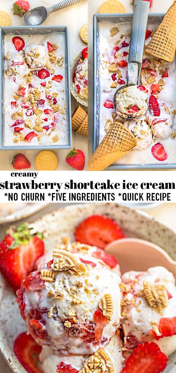 Strawberry Shortcake Ice Cream